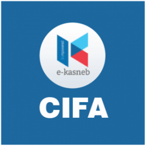 Certified Investment and Financial Analysts (CIFA) - KASNEB Syllabus ...
